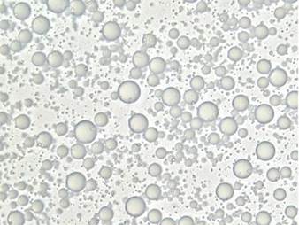 Food Emulsion Short Course : Center for Agriculture, Food, and the ...