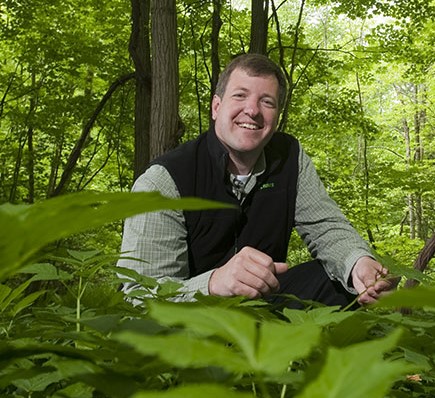 Help for the Sick (Plants, That Is) : Center for Agriculture, Food, and ...