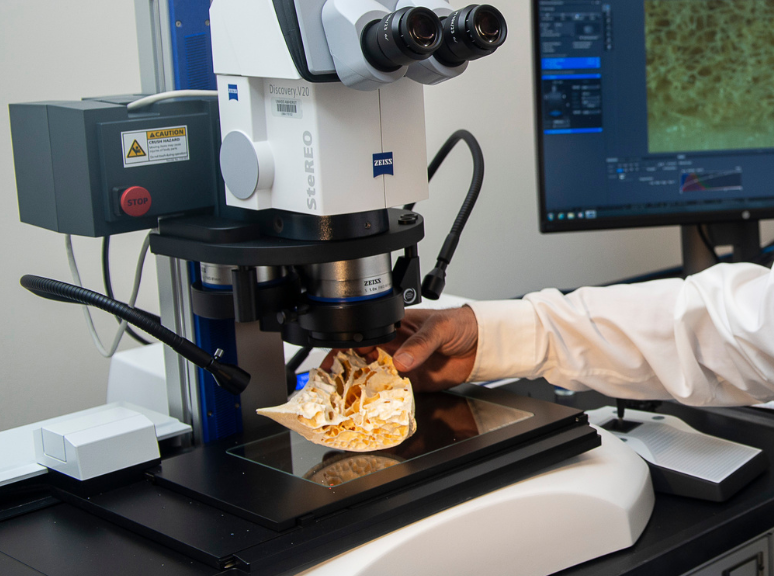 PhD in Biomedical Engineering : Riccio College of Engineering : UMass ...