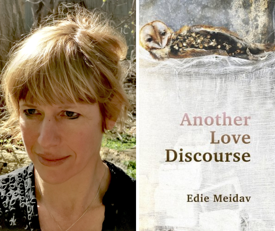 Author and Professor Edie Meidav Wins 2022 Big Other Book Award for ...