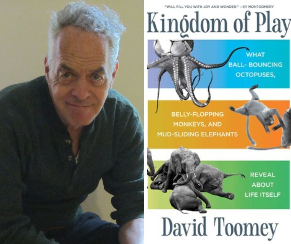 English Professor and Author David Toomey's New Book, "Kingdom of Play ...