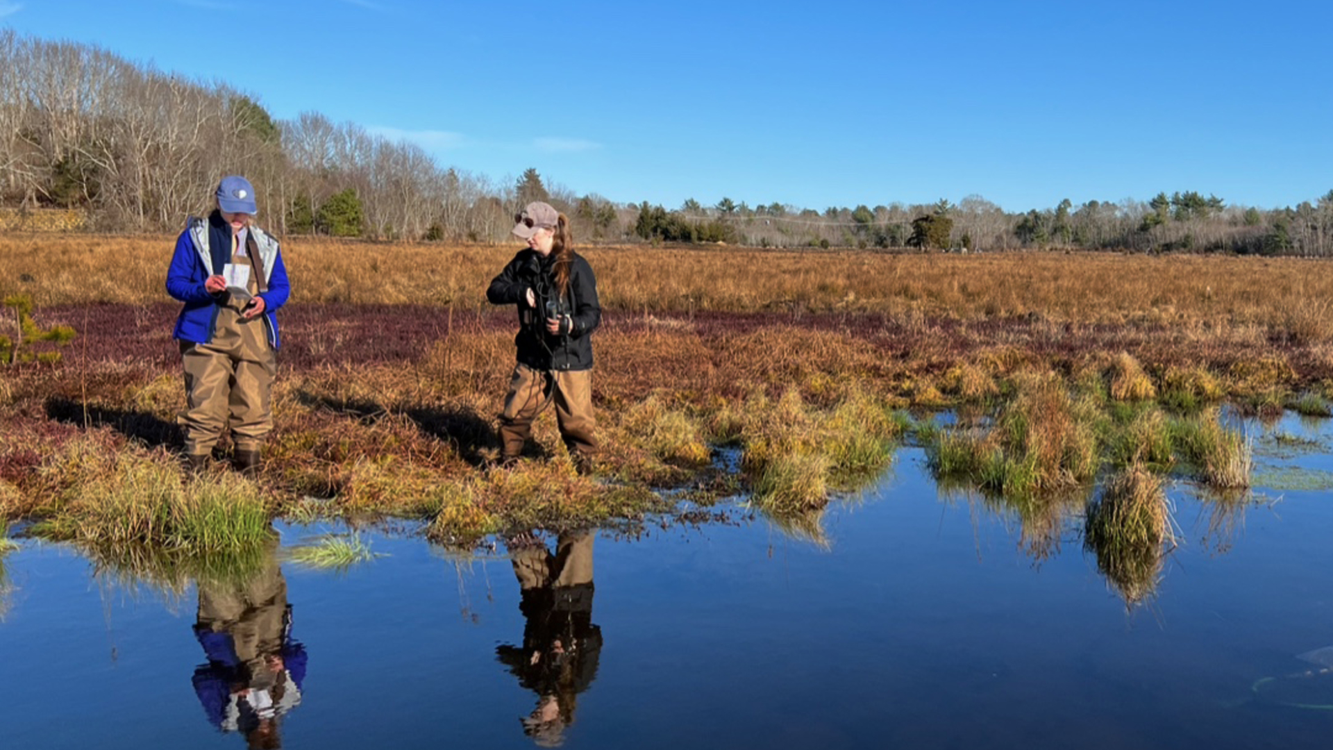 Focusing on Groundwater to Rewild a Wetland : College of Natural ...