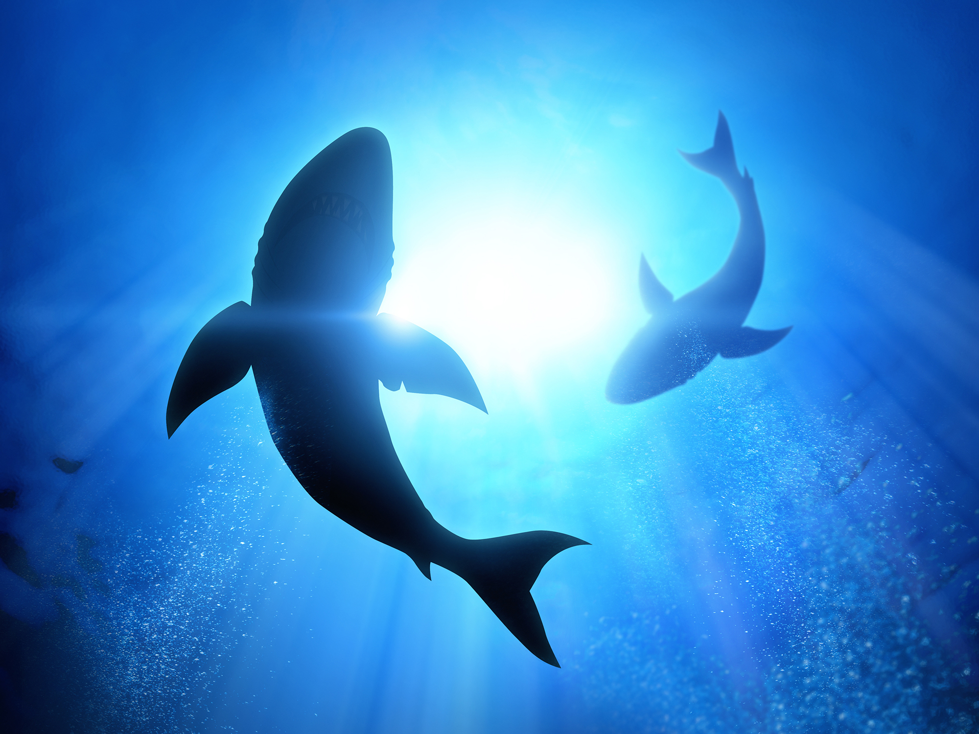 CNS Lab Conducts Comprehensive Survey on Anglers and Depredation ...