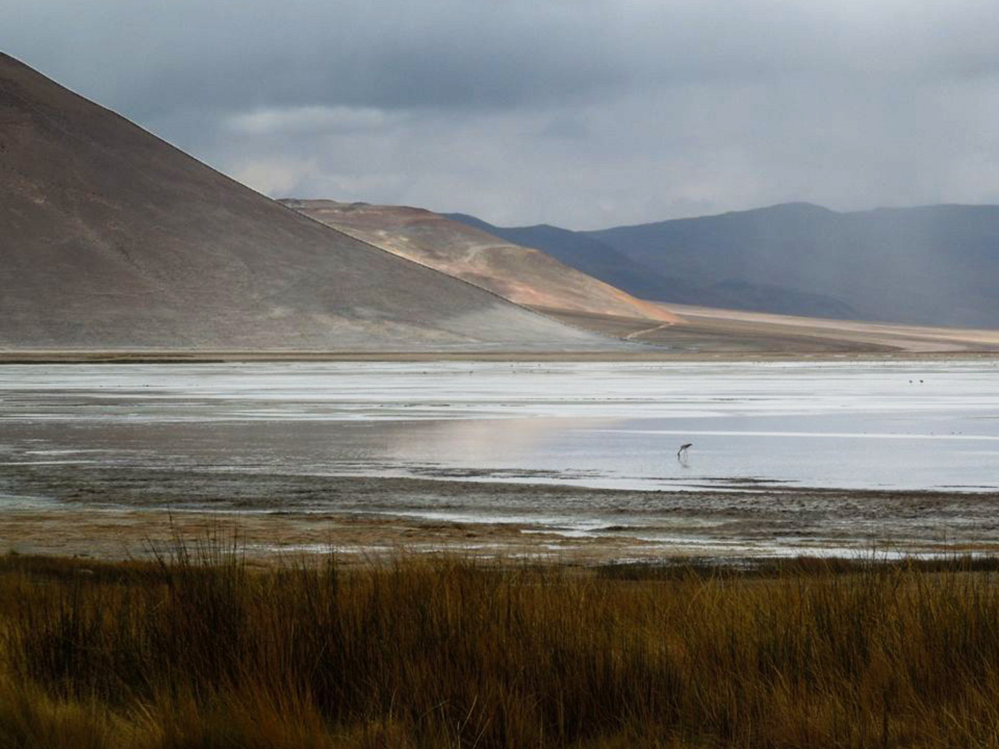 Daniel Corkran, David Boutt, and Team Find that Water’s Density is Key ...
