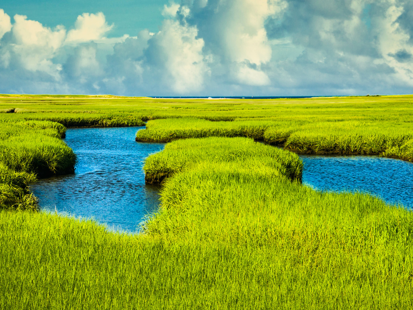 CNS Researchers Show That Ocean Sediments are Key to the Survival of ...