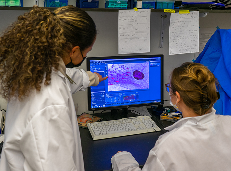 MPH in Environmental Health Sciences : School of Public Health & Health ...