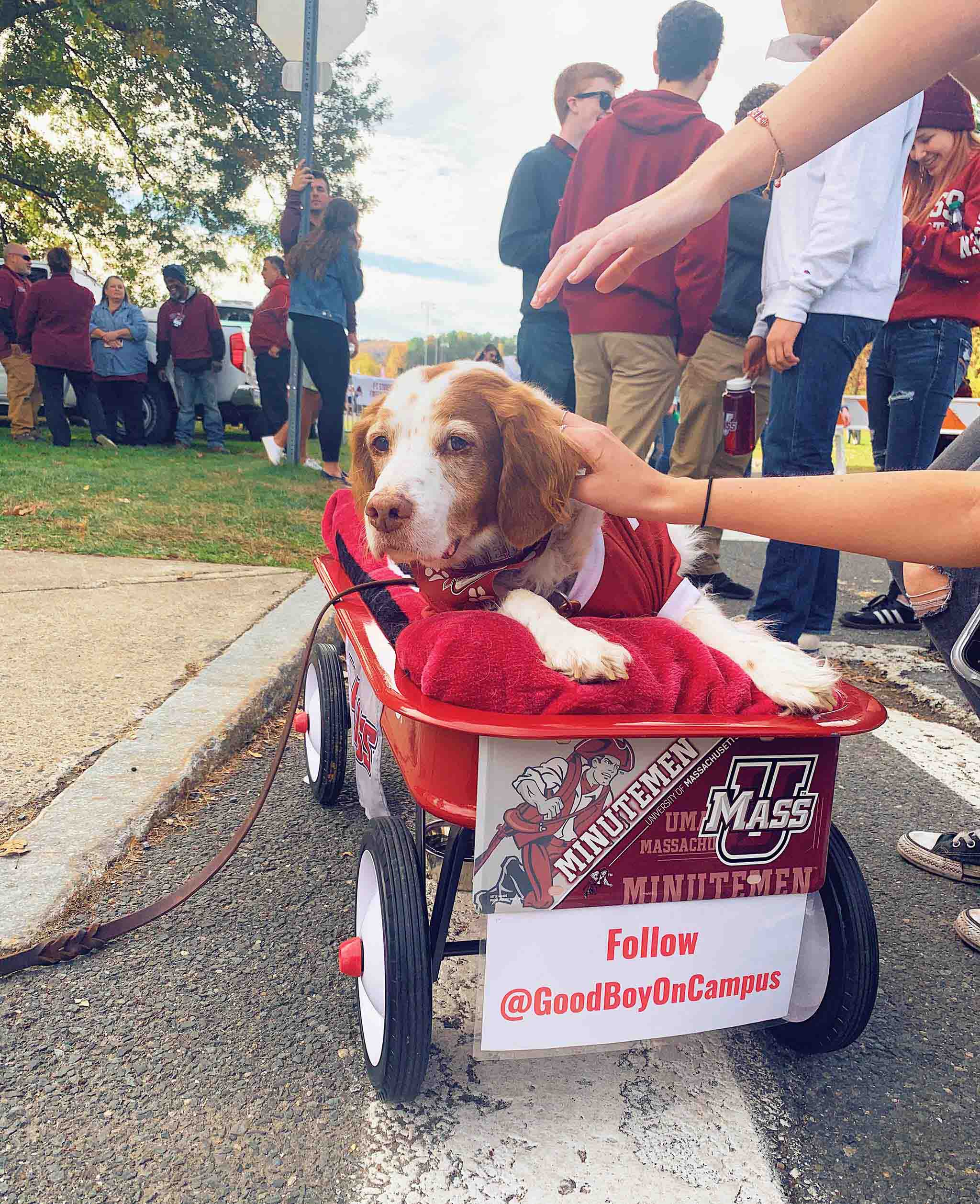 My First Homecoming at the University of Massachusetts! : Undergraduate ...